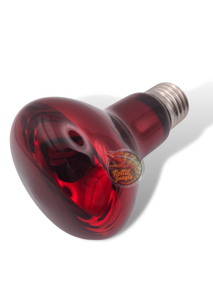 Lampada Spot Riscaldante Luce Rossa 40 Watt TerraExotica - Rettil Jungle